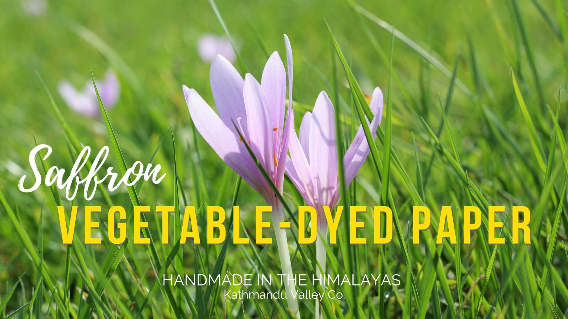 Handmade Lokta Printer Paper - Vegetable-Dyed Saffron